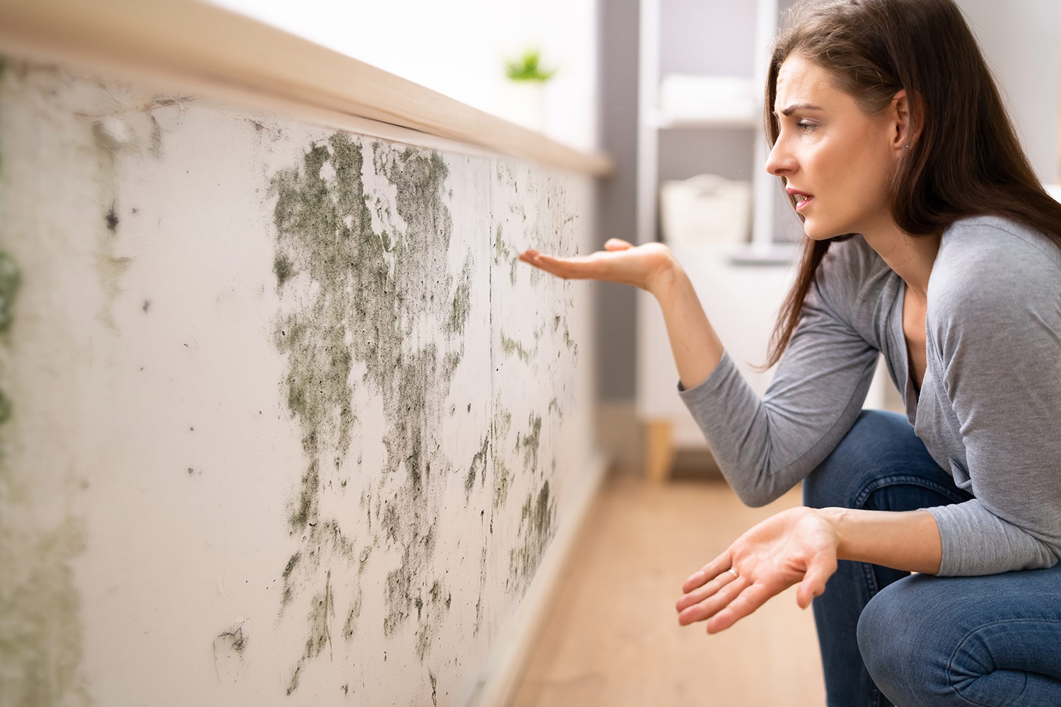 Mould, Condensation and Damp. Who is Responsible?? » Urban Base